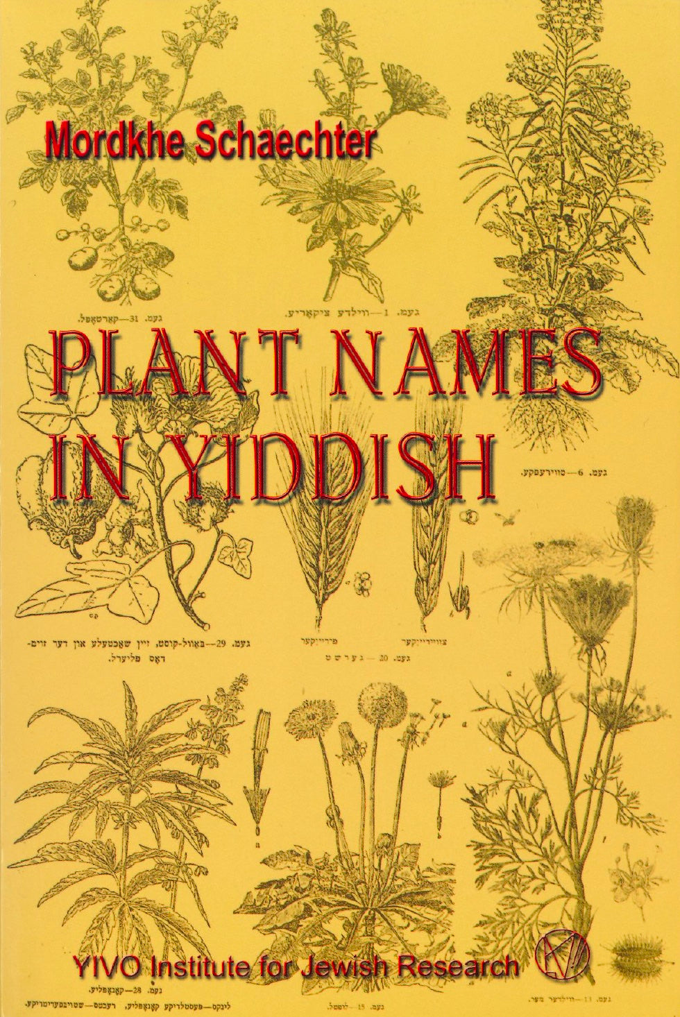 Plant Names In Yiddish YIVO Institute For Jewish Research plant-names-in-yiddish-yivo-institute-for-jewish-research